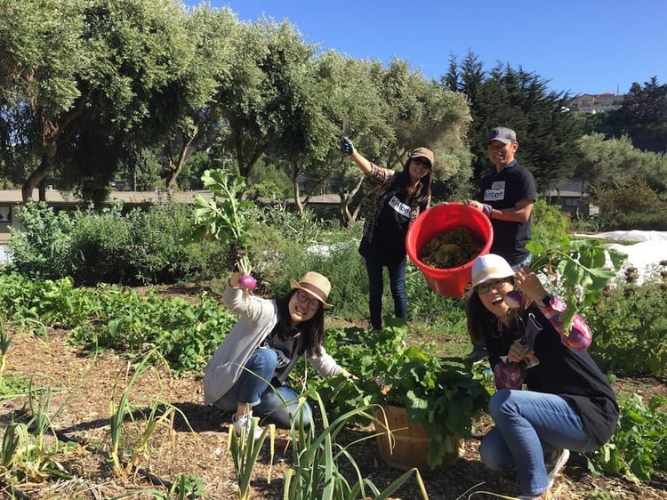 Farm Work Day: Getting Our Hands Dirty To Feed The Community